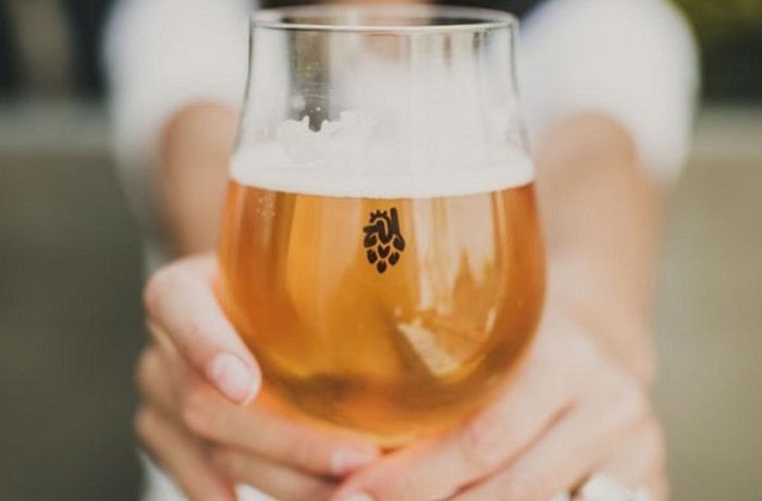 Motor Cervecería, una empresa que nace de la experiencia en Michigan ...